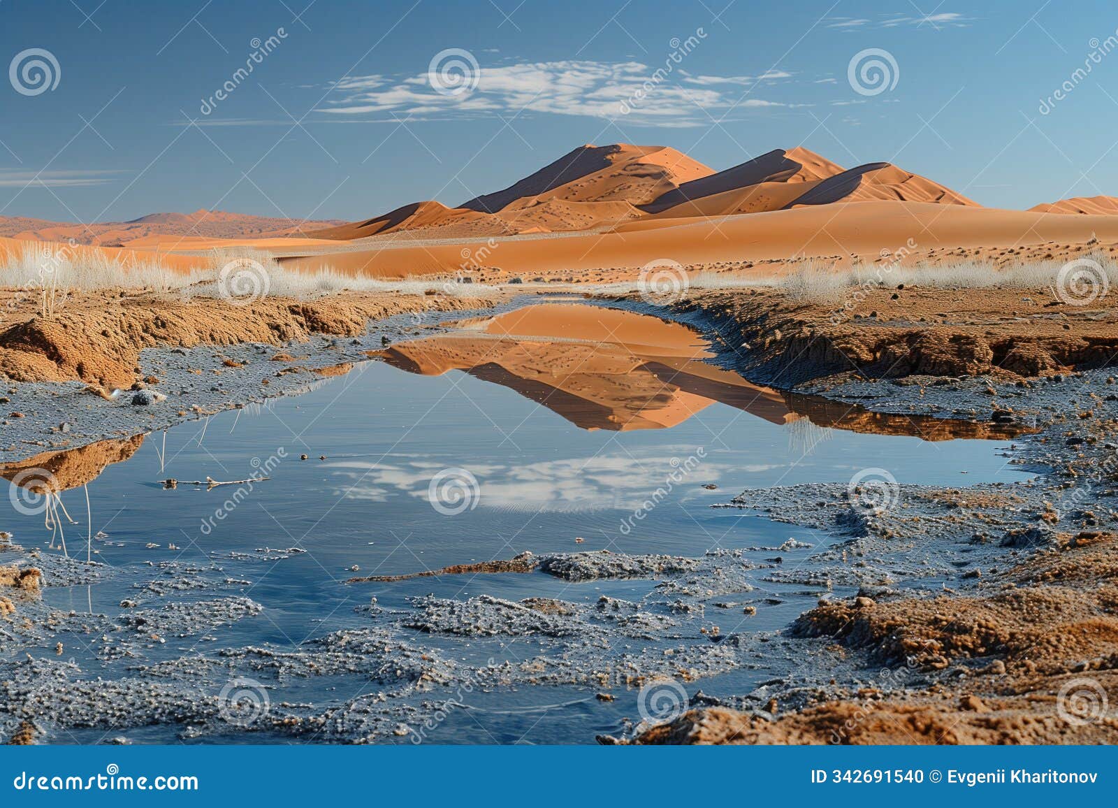 Drying Up Water Source in the Desert Stock Photo - Image of silt, water ...