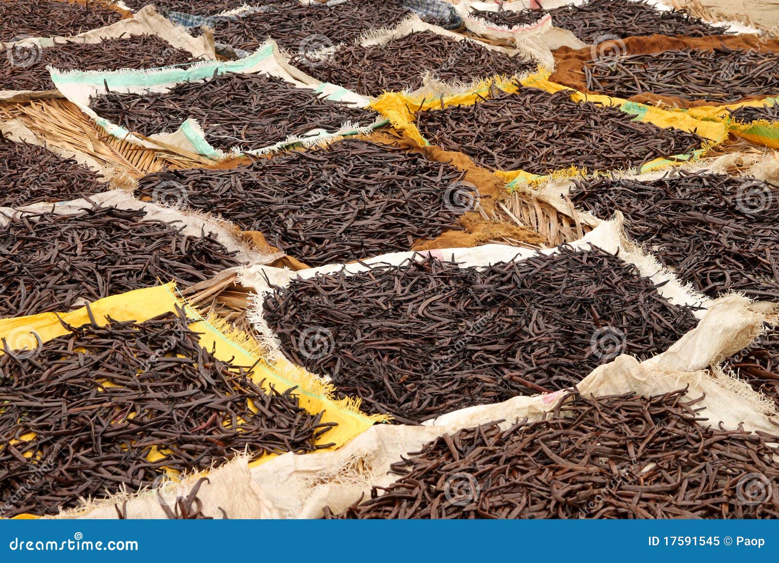 Drying vanilla stock image. Image of flowers, cuisine - 17591545