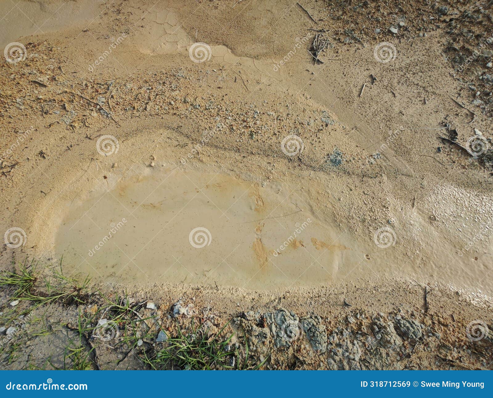 Drying Wet Mud from the Stagnant Pool of Rainwater. Stock Image - Image ...
