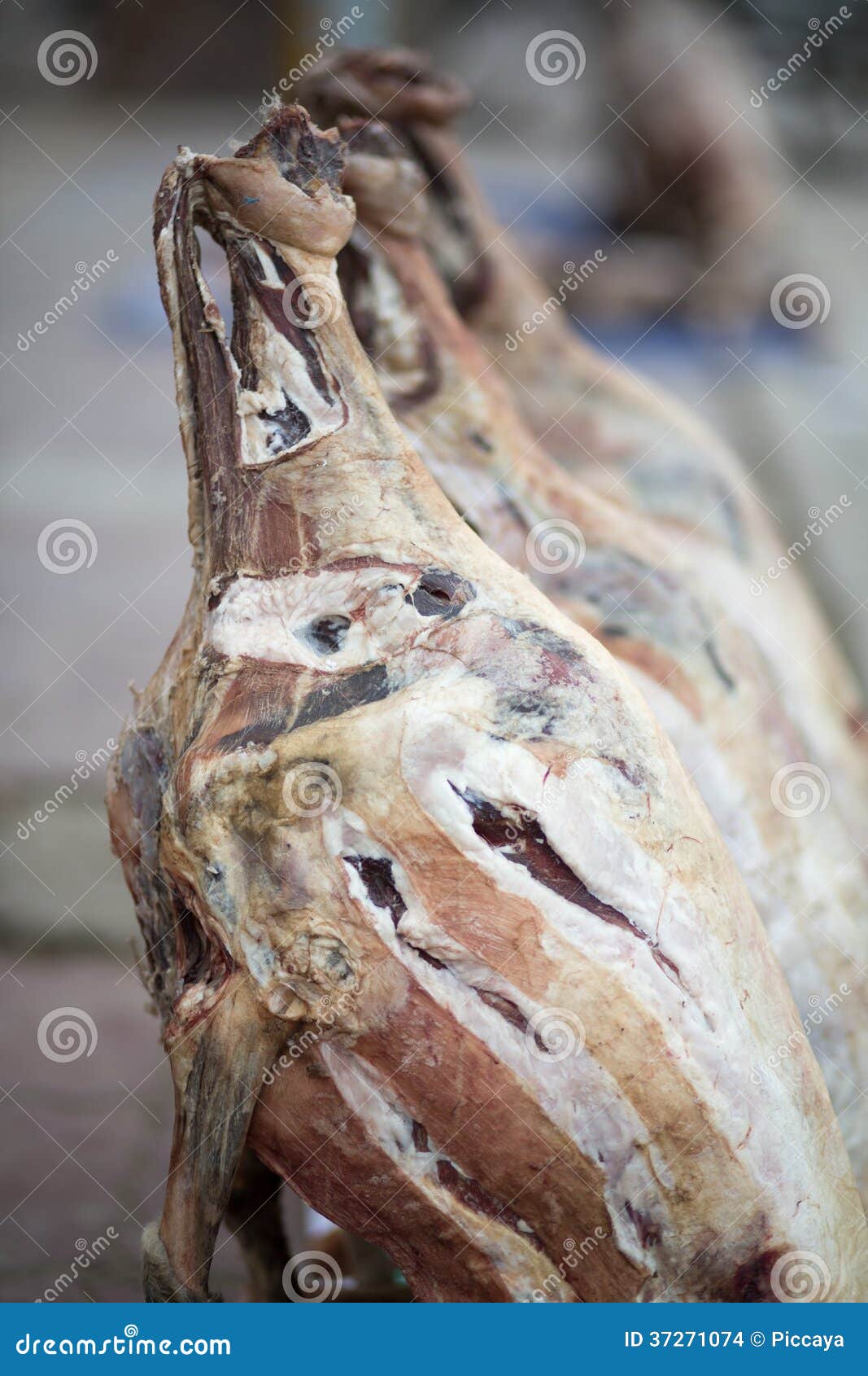 Drying Yak-meat stock photo. Image of outside, dinner - 37271074
