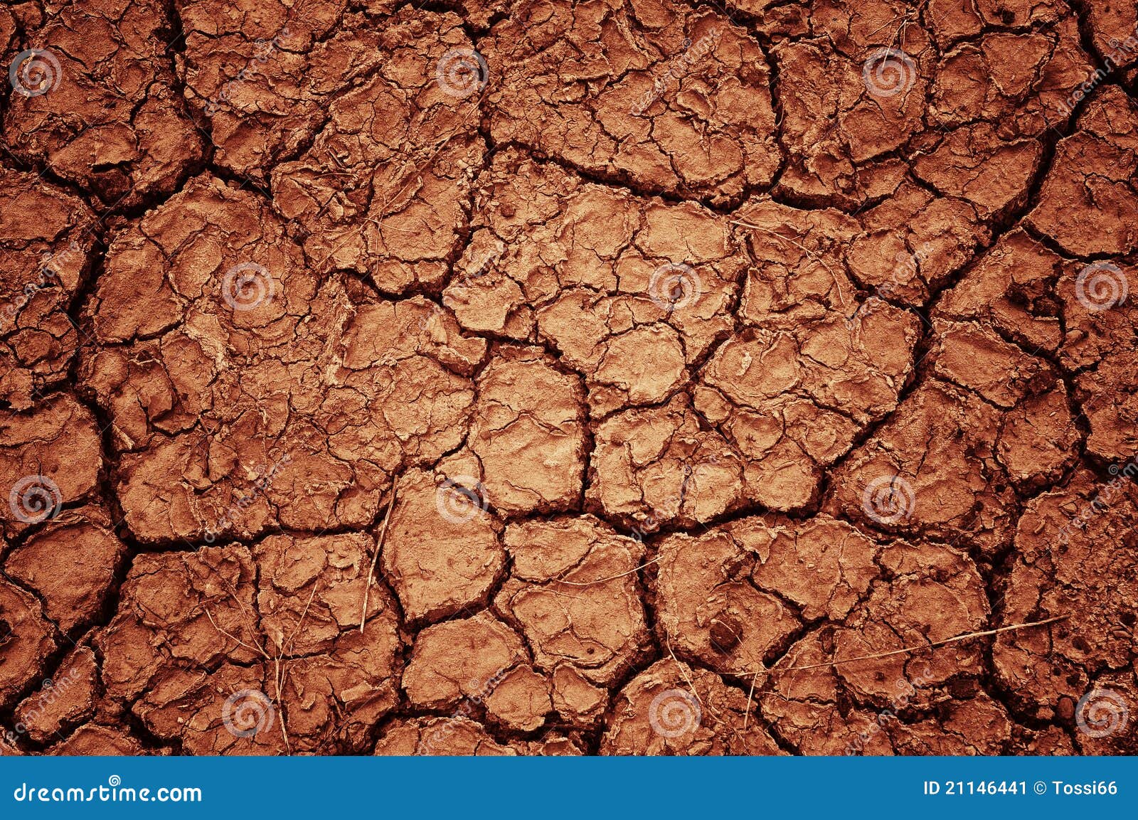 Dryness stock image. Image of protect, desert, earth - 21146441