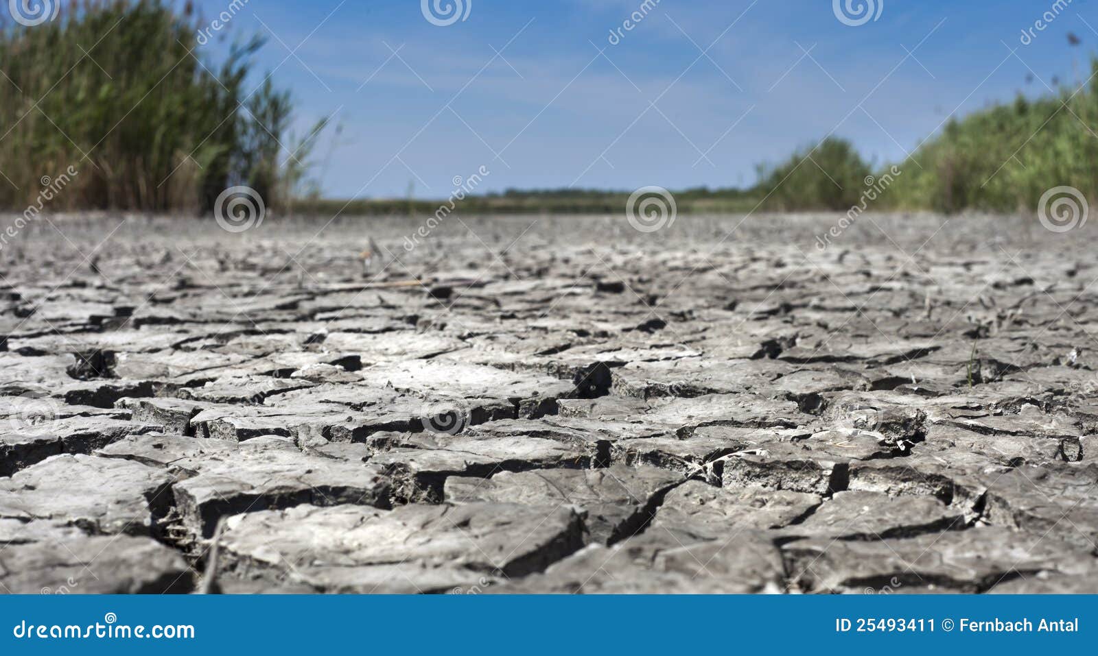 Dryness stock image. Image of land, dirt, rough, cracked - 25493411