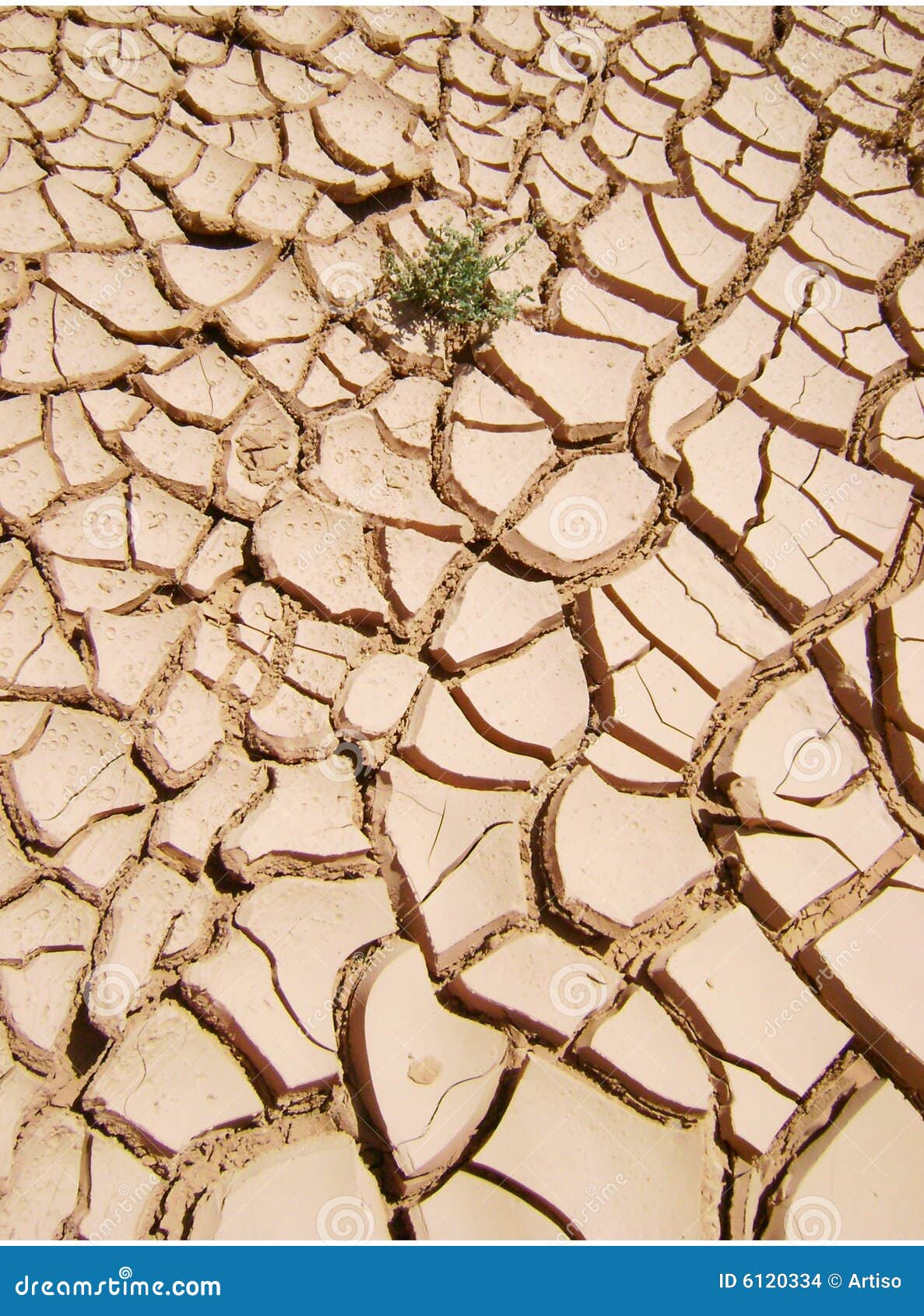 Dryness stock photo. Image of cracking, abstract, dryness - 6120334
