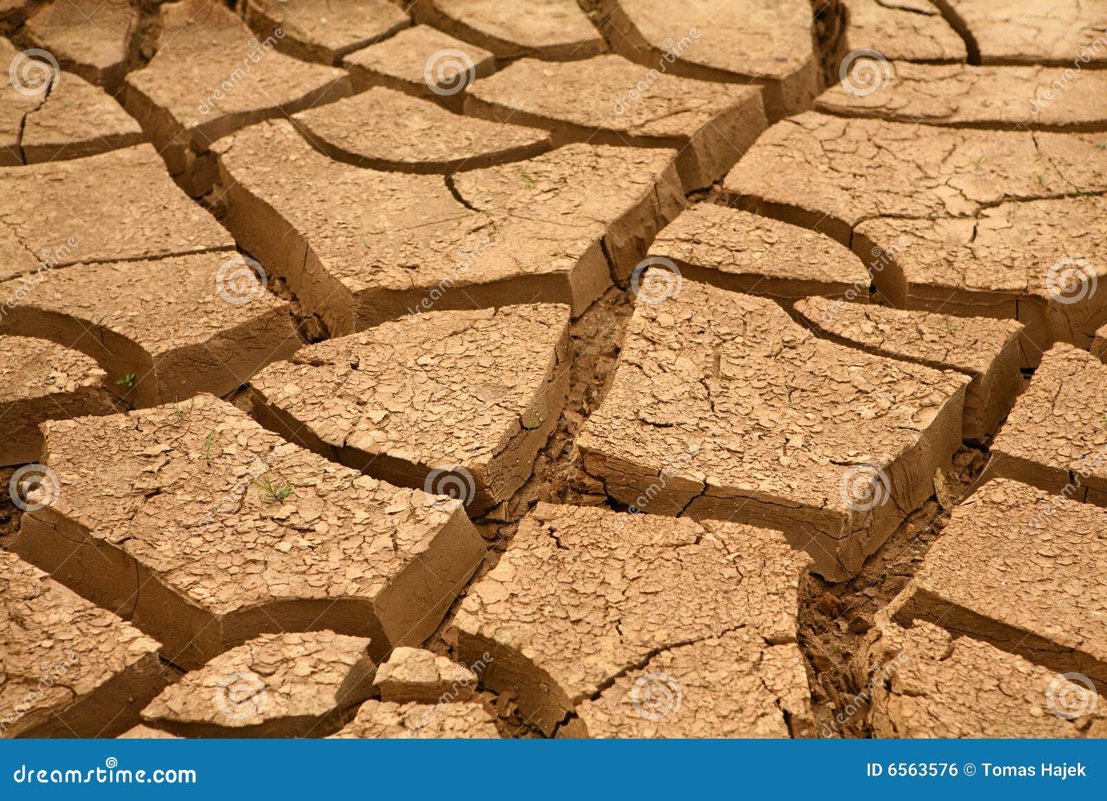 Dryness stock photo. Image of global, boden, ground, dryness - 6563576