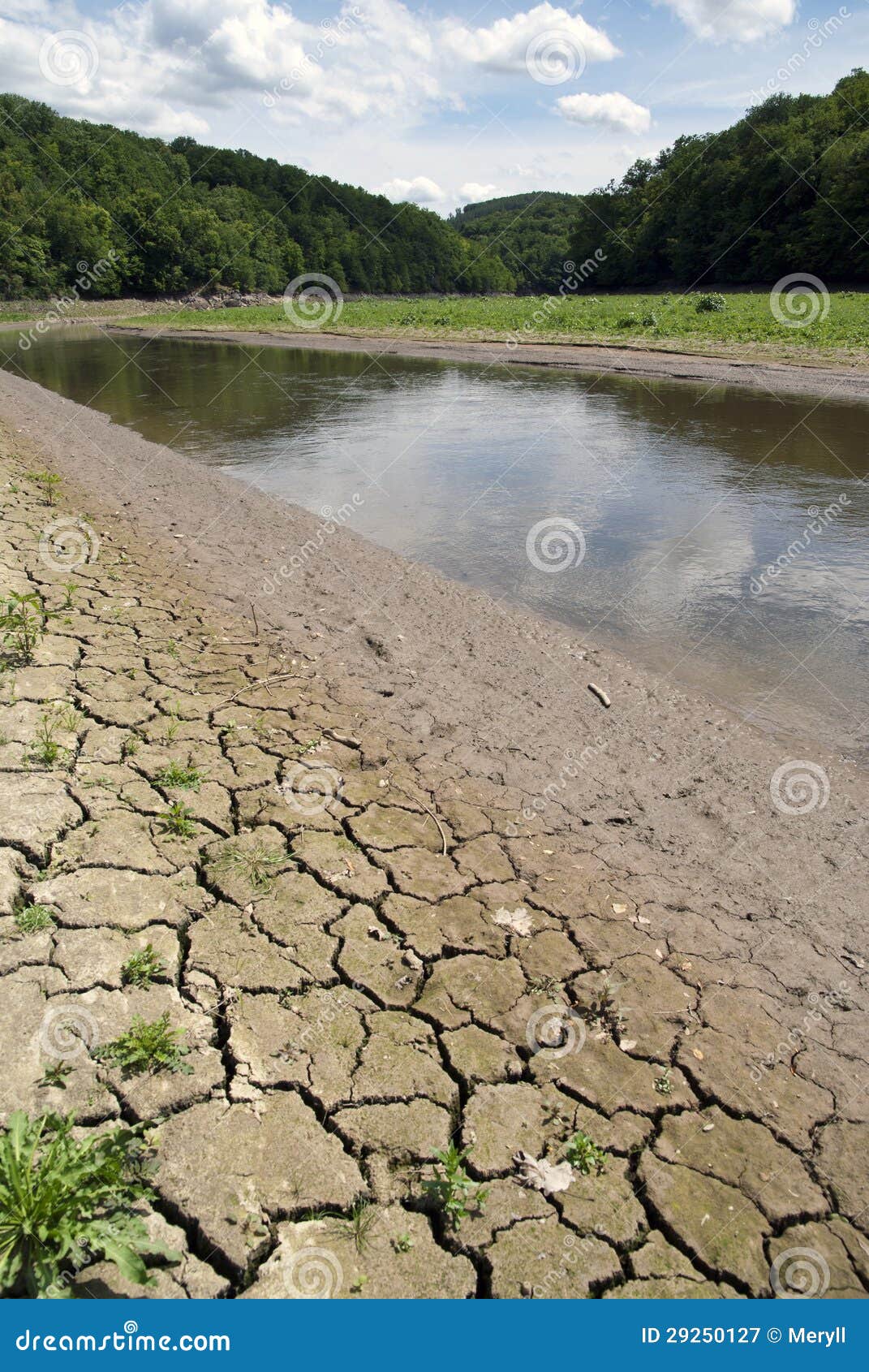 Dryness, drying river stock image. Image of environmental - 29250127