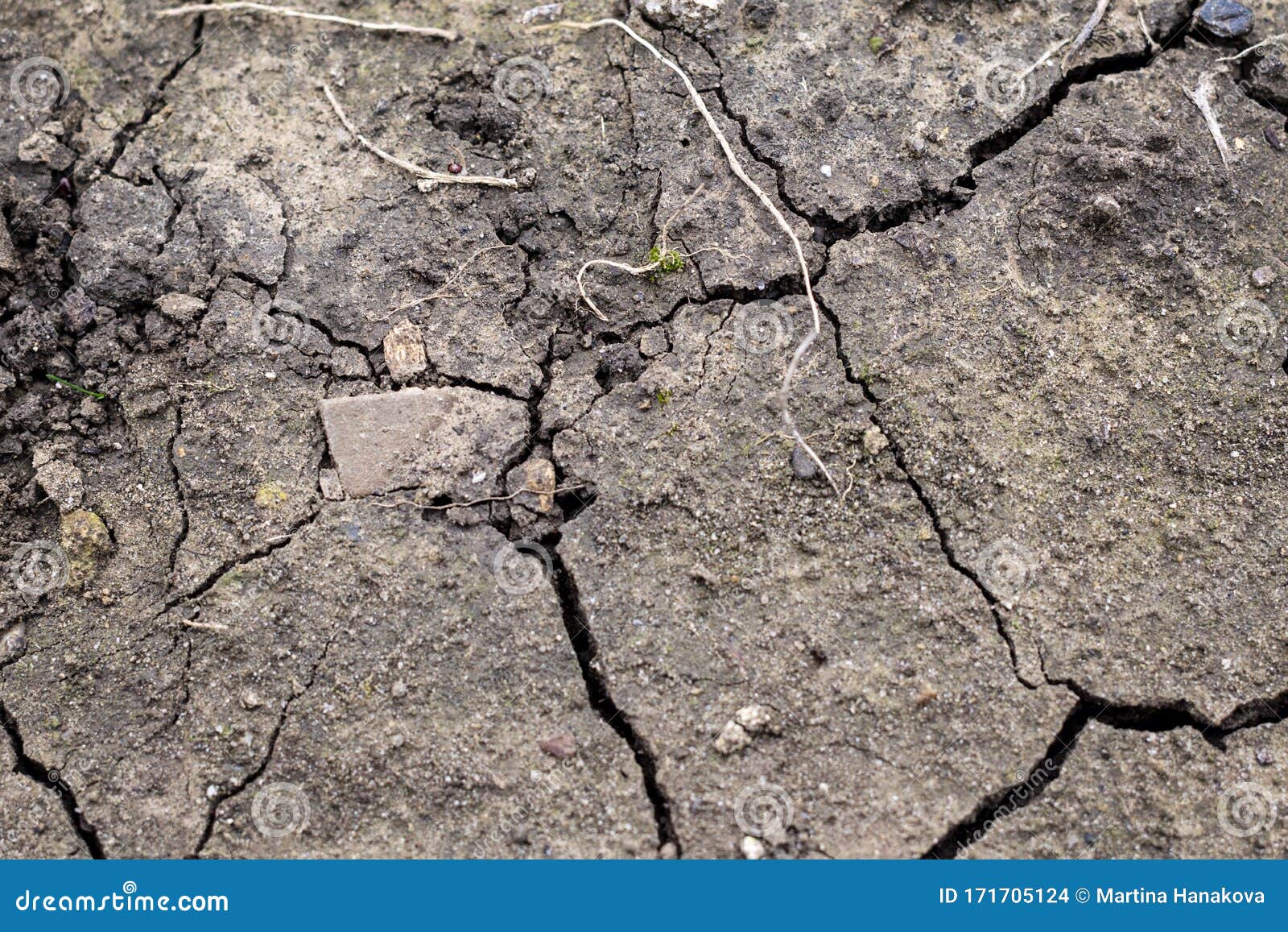 Dryness. Dry Ground Cracked because of Pollution and Global Warming ...