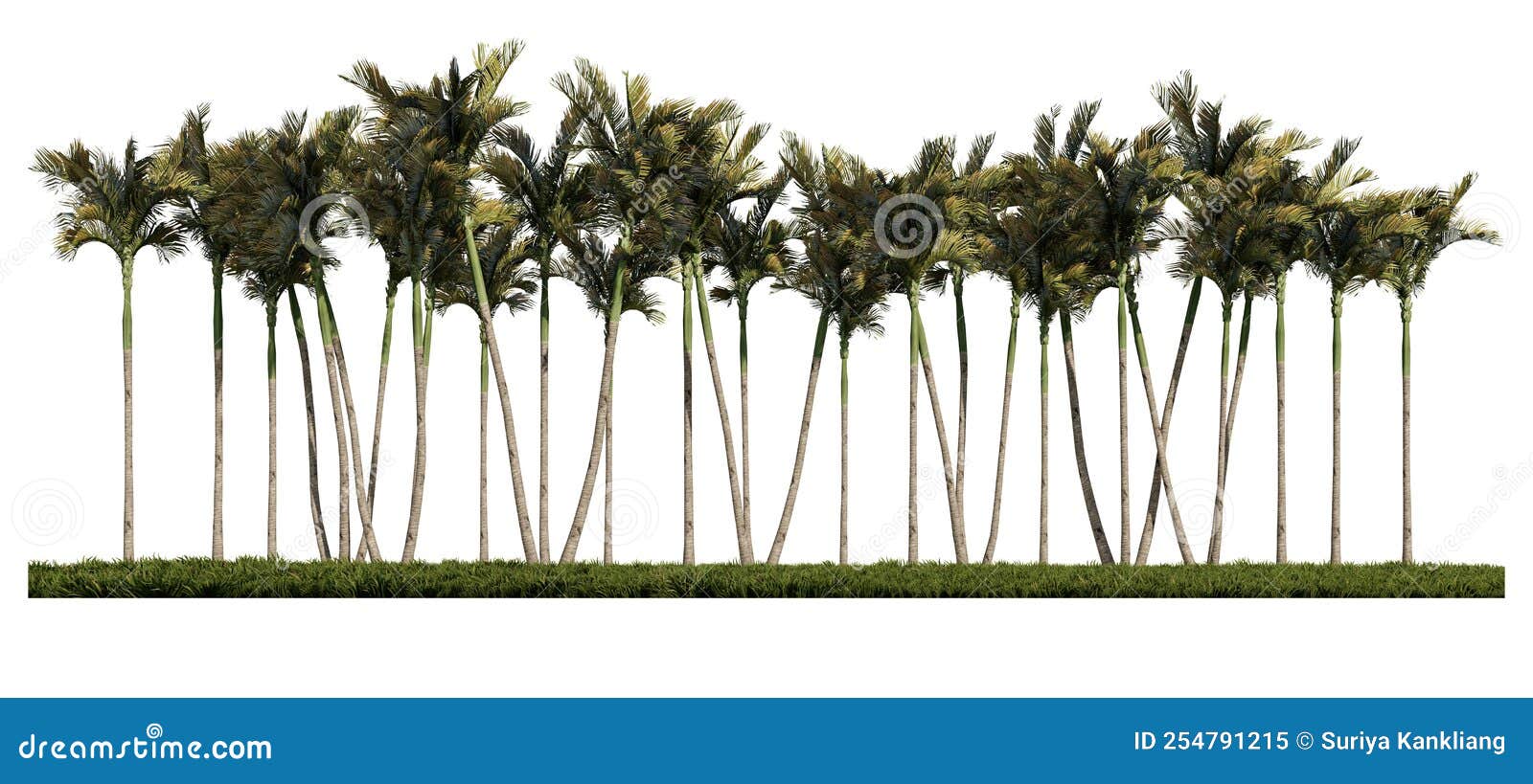 3ds Rendering Image of Front View of Palm Trees on Grasses Field Stock ...