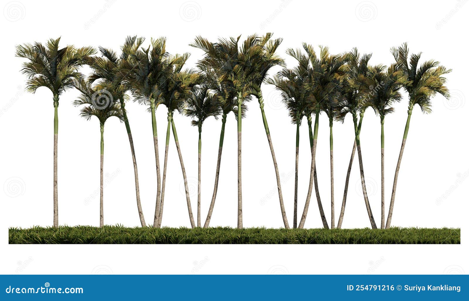 3ds Rendering Image of Front View of Palm Trees on Grasses Field Stock ...