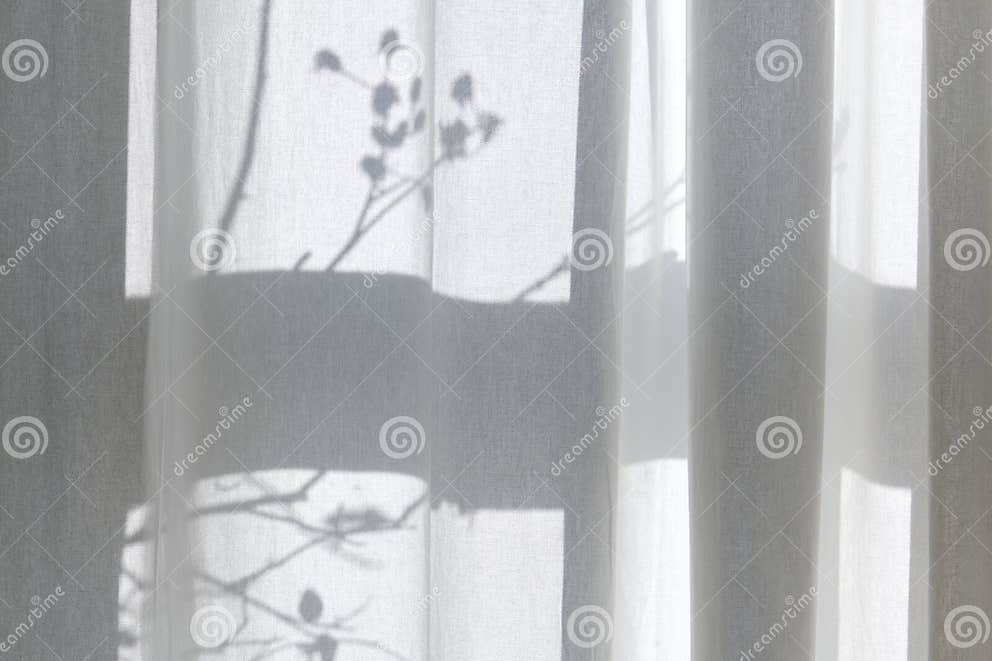 Morning Sun Shines through White Transparent Curtains Stock Photo ...
