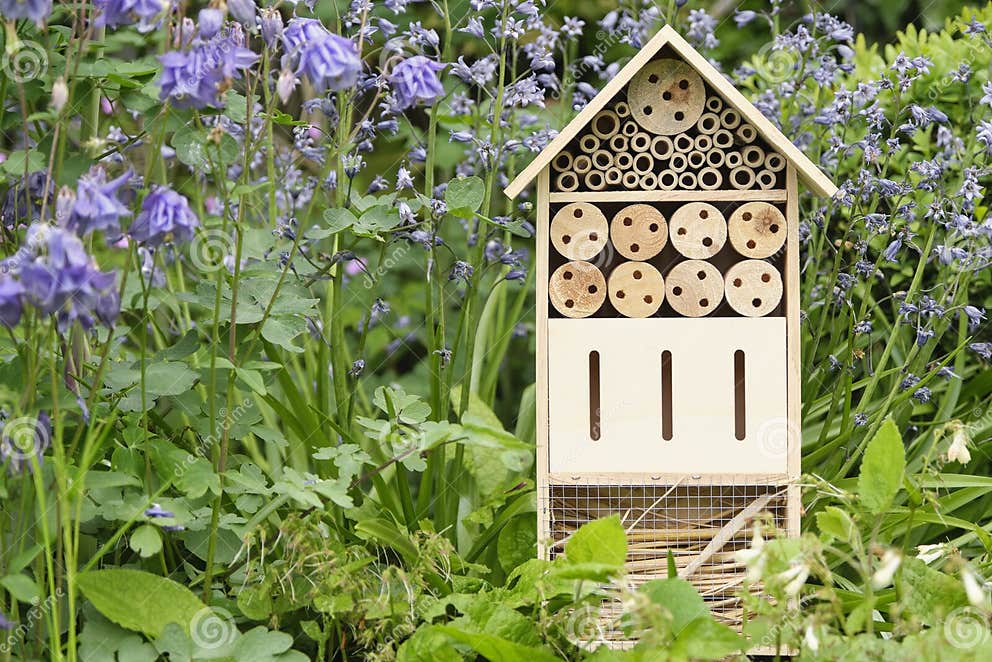 An Insect Hotel or Bee Hotel in a Summer Garden Stock Photo - Image of ...