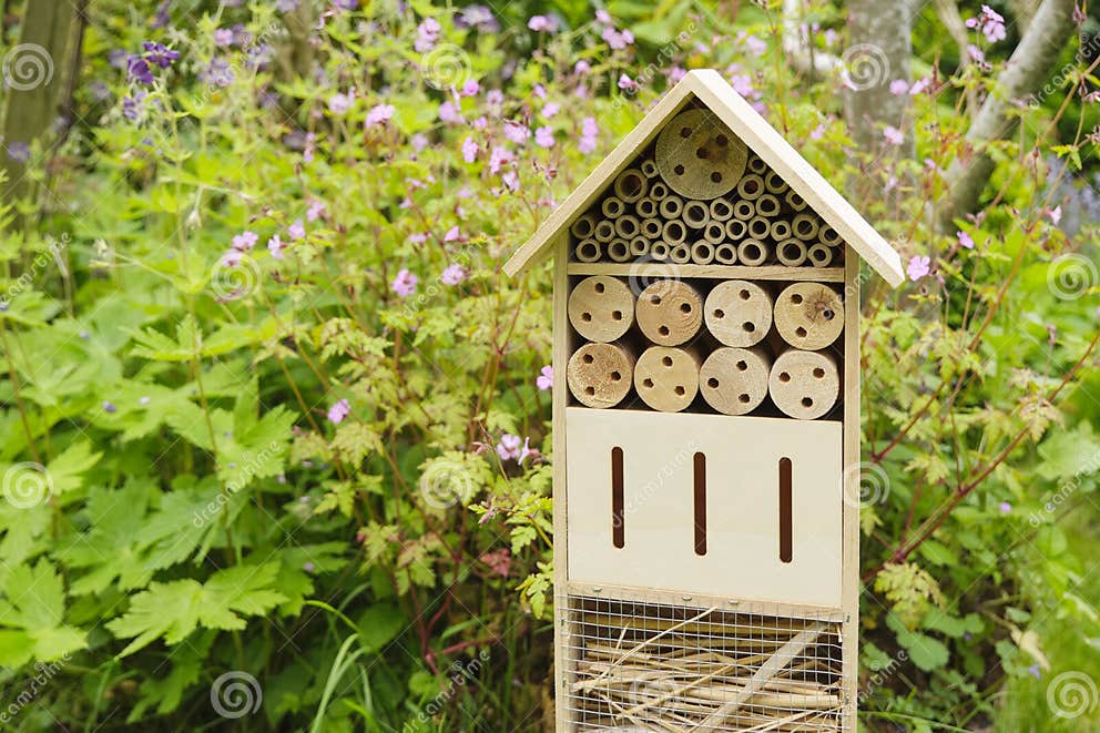 An Insect Hotel or Bee Hotel in a Summer Garden Stock Photo - Image of ...