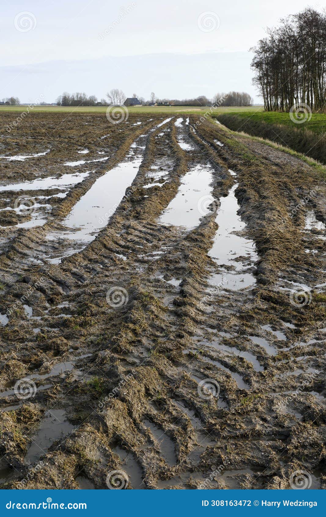 A Flooded Agricultural Field Due To Heavy Rainfall in Winter Stock ...