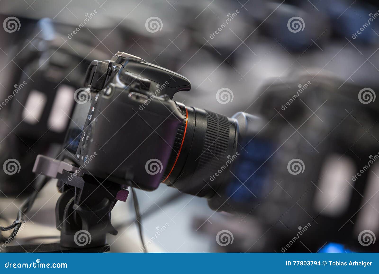 Dslr camera rig stock photo. Image of hobbie, white, photographic ...