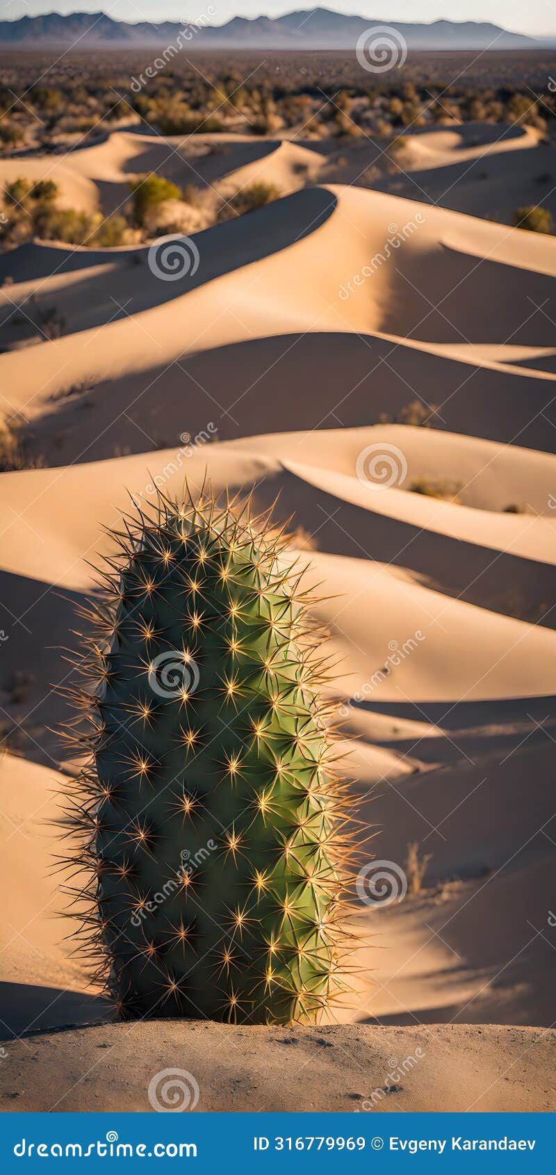 DSLR Capture Of A Thriving Cactus Amid Desolate Desert Stock Photo ...