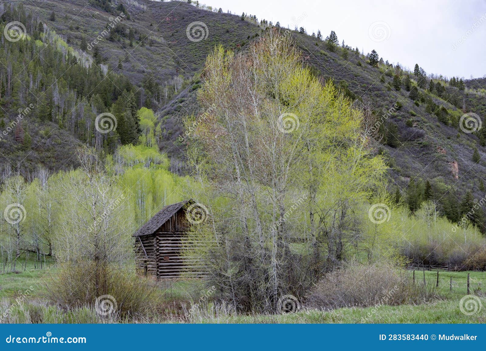 Log Cabin Spring stock photo. Image of sylvan, trail - 283583440