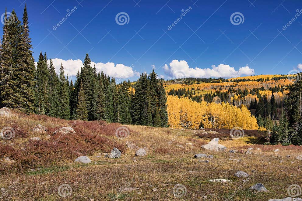 Long October in the Rockies Stock Photo - Image of hill, prairie: 269537864