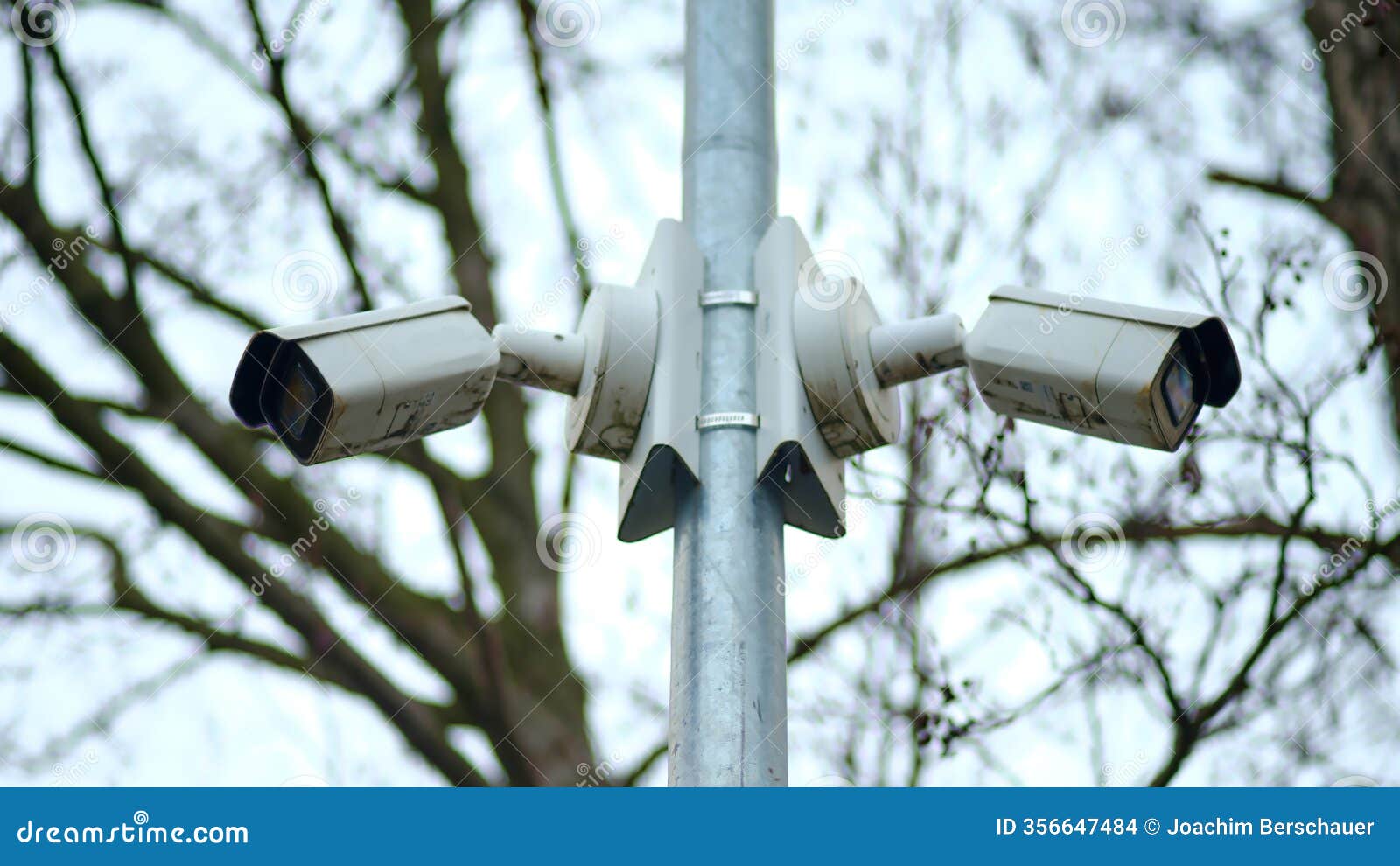 Dual Security Cameras on Metal Pole with Bare Trees Stock Photo - Image ...