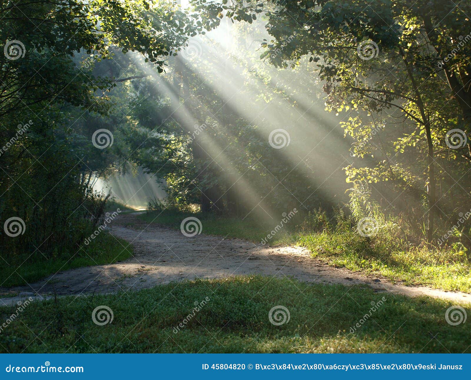 Dual slant of light. stock photo. Image of rays, walk - 45804820