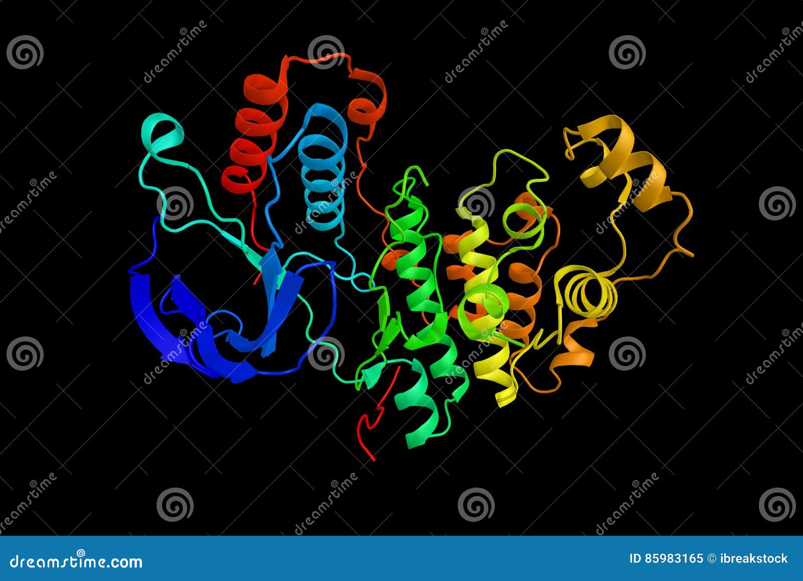 Dual Specificity Mitogen-activated Protein Kinase Kinase 3, an E Stock ...