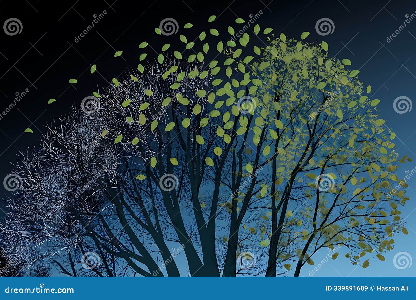 Duality of Life: a Tree Half in Bloom, Half Bare Stock Illustration ...