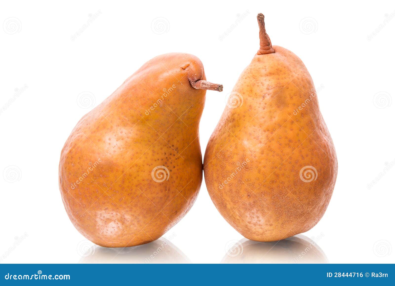 Duas peras amarelas foto de stock. Imagem de completamente - 28444716
