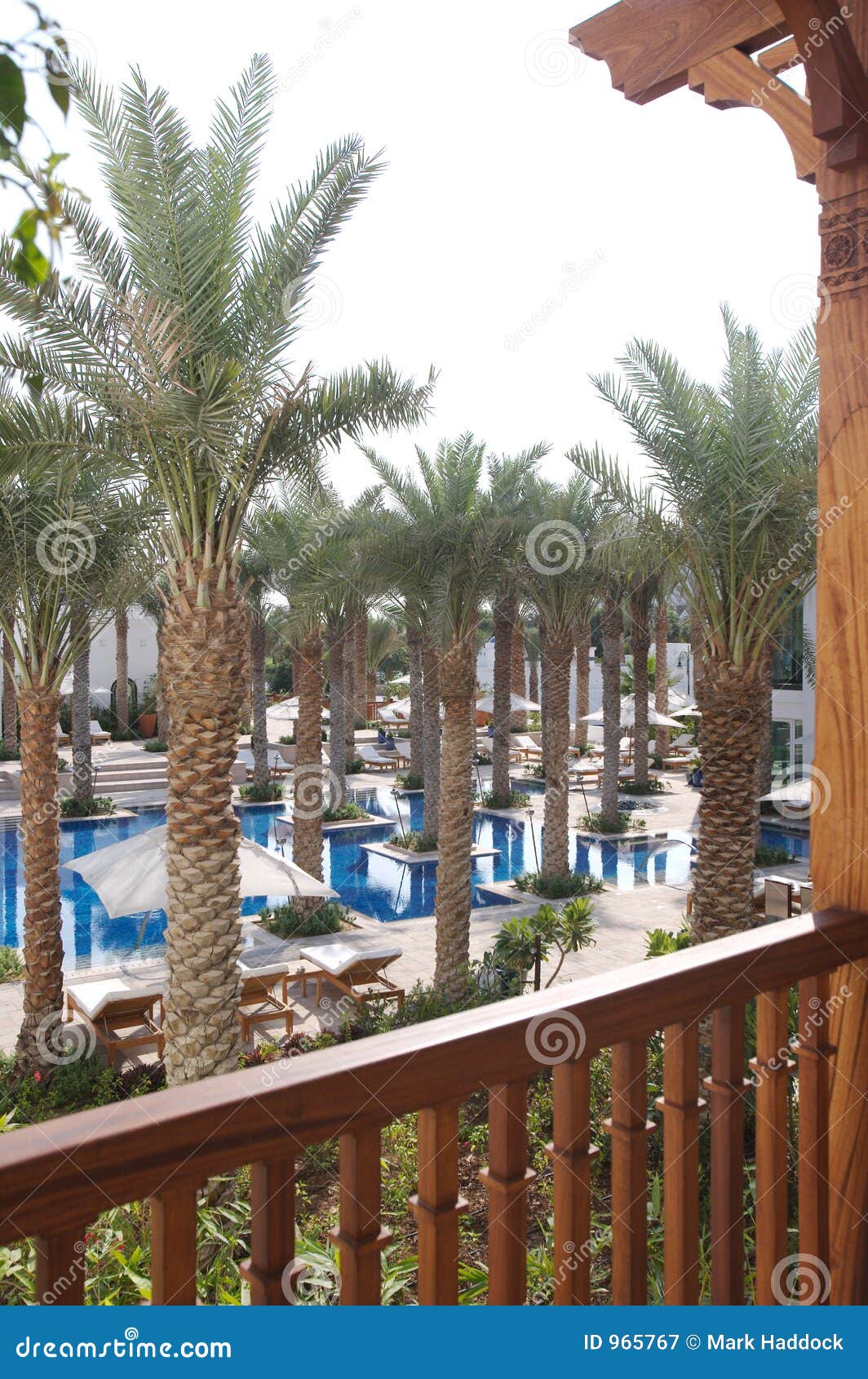 Dubai 01 stock image. Image of arab, resort, dubai, tree - 965767