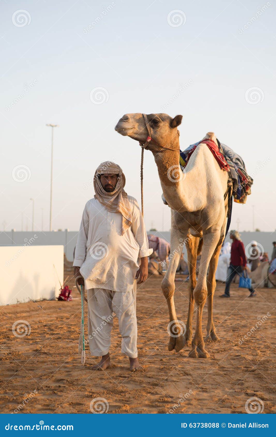 Dubai Camel Racing Club Camel and Keeper. Editorial Stock Photo - Image ...