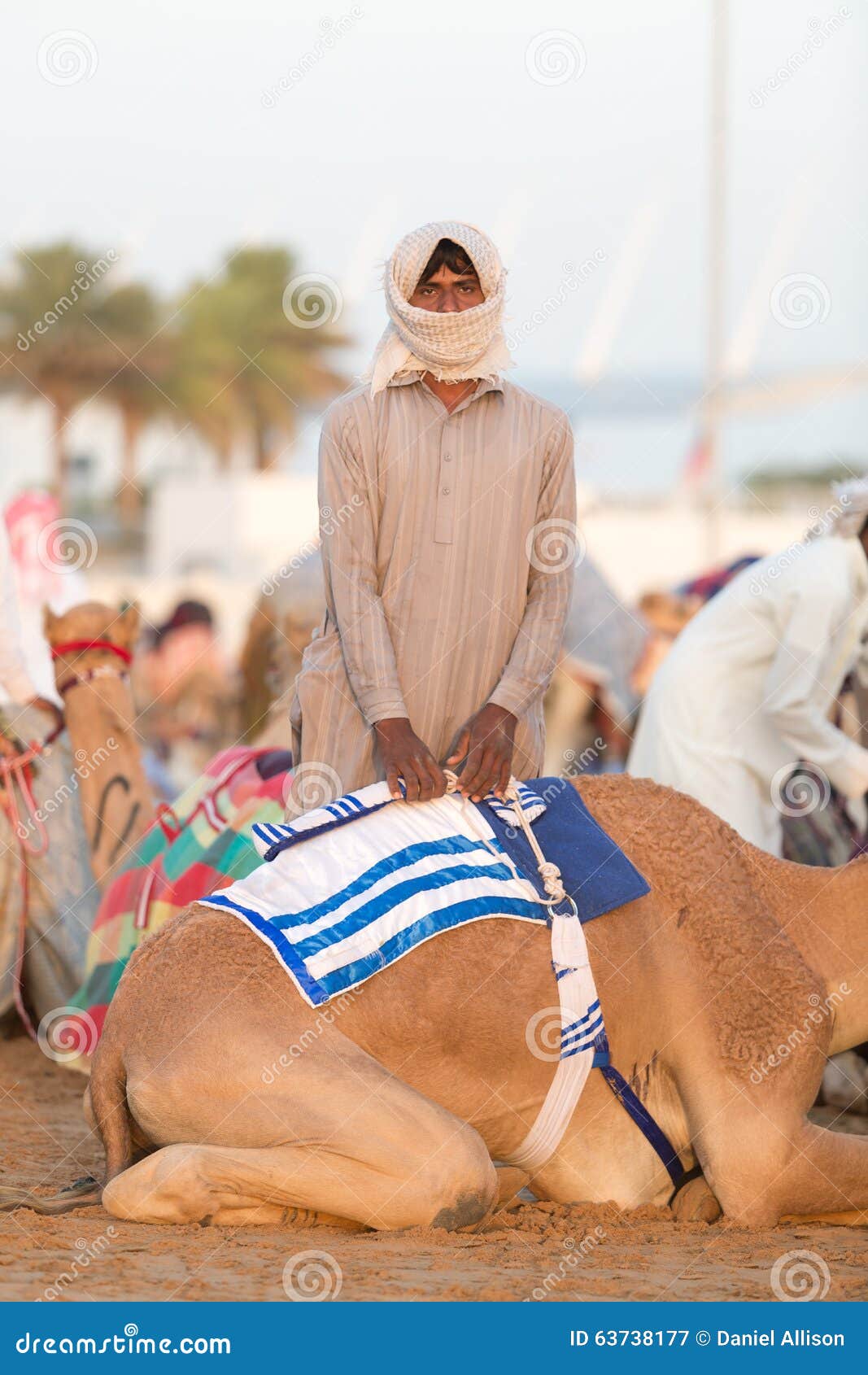 Dubai Camel Racing Club Camel and Keeper. Editorial Photography - Image ...