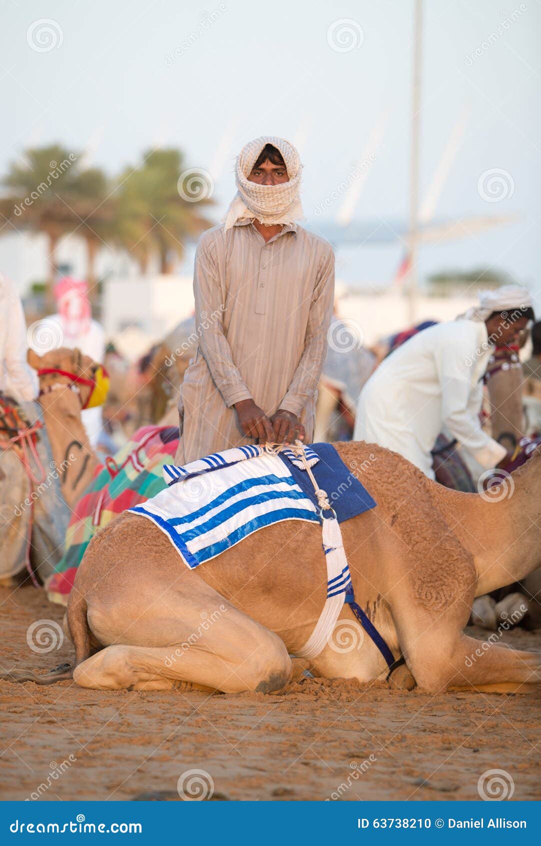 Camel Racing Editorial Image | CartoonDealer.com #17547580