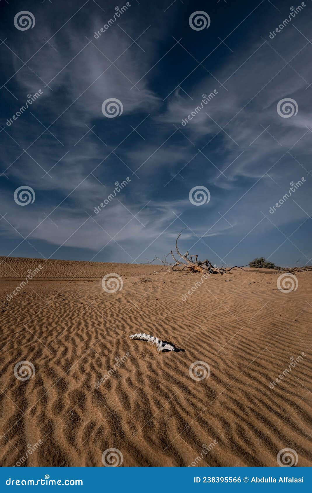 Dubai Desert with Animals Remains and Dead Tree Stock Photo - Image of ...
