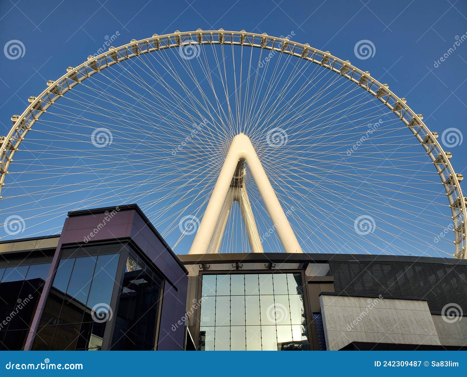 Dubai eye, Ain Dubai stock image. Image of recreation - 242309487