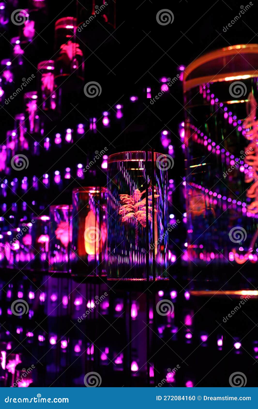 Dubai Museum of the Future. Library with All Creatures To Safe ...