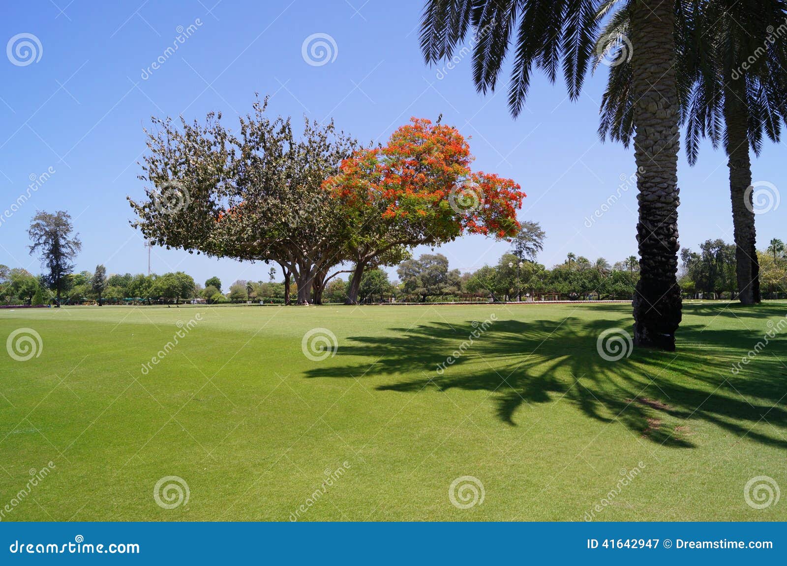Dubai Safa Park stock image. Image of park, sheikh, gold - 41642947