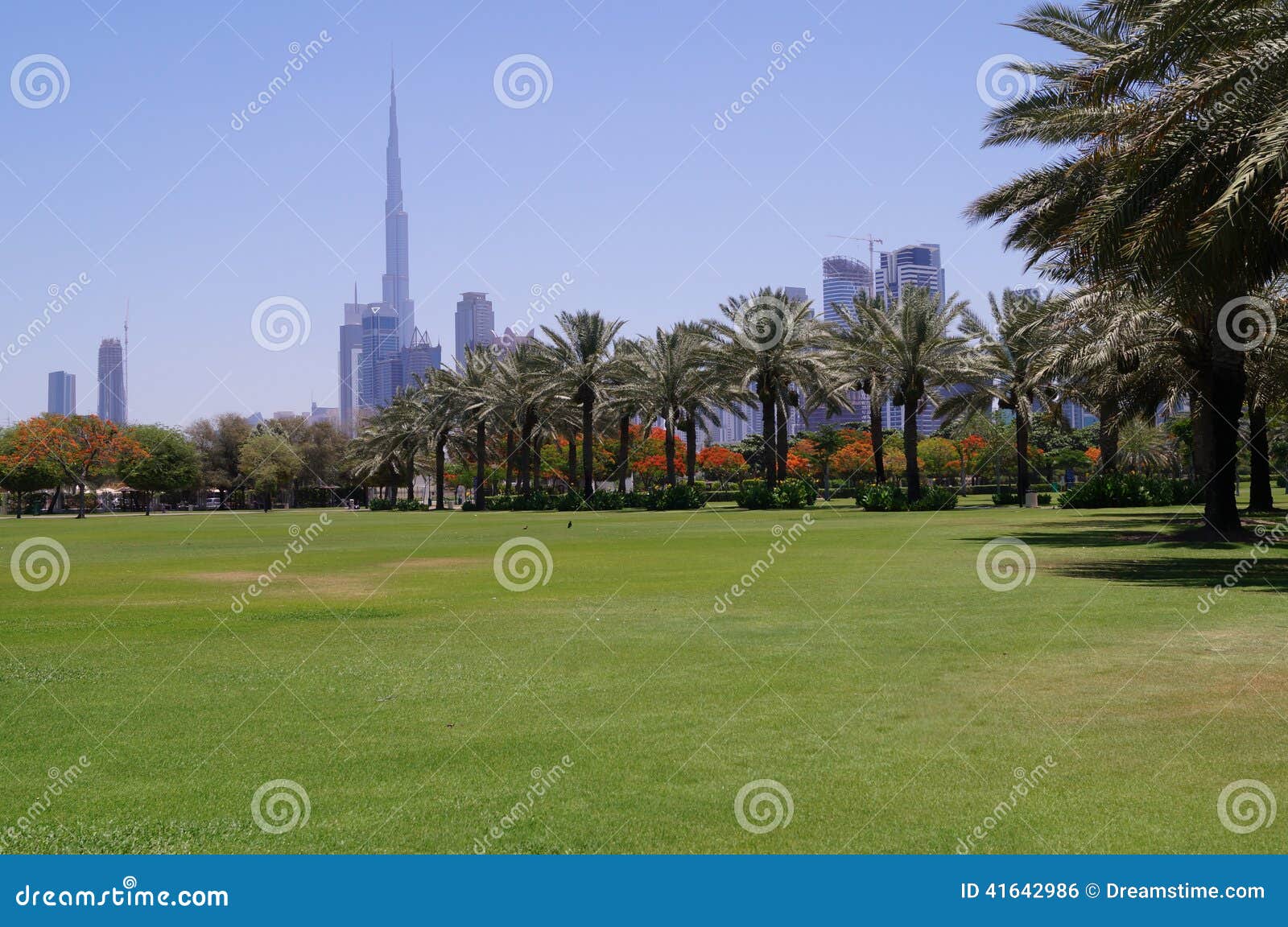 Dubai Safa Park stock photo. Image of park, dubai, garden - 41642986