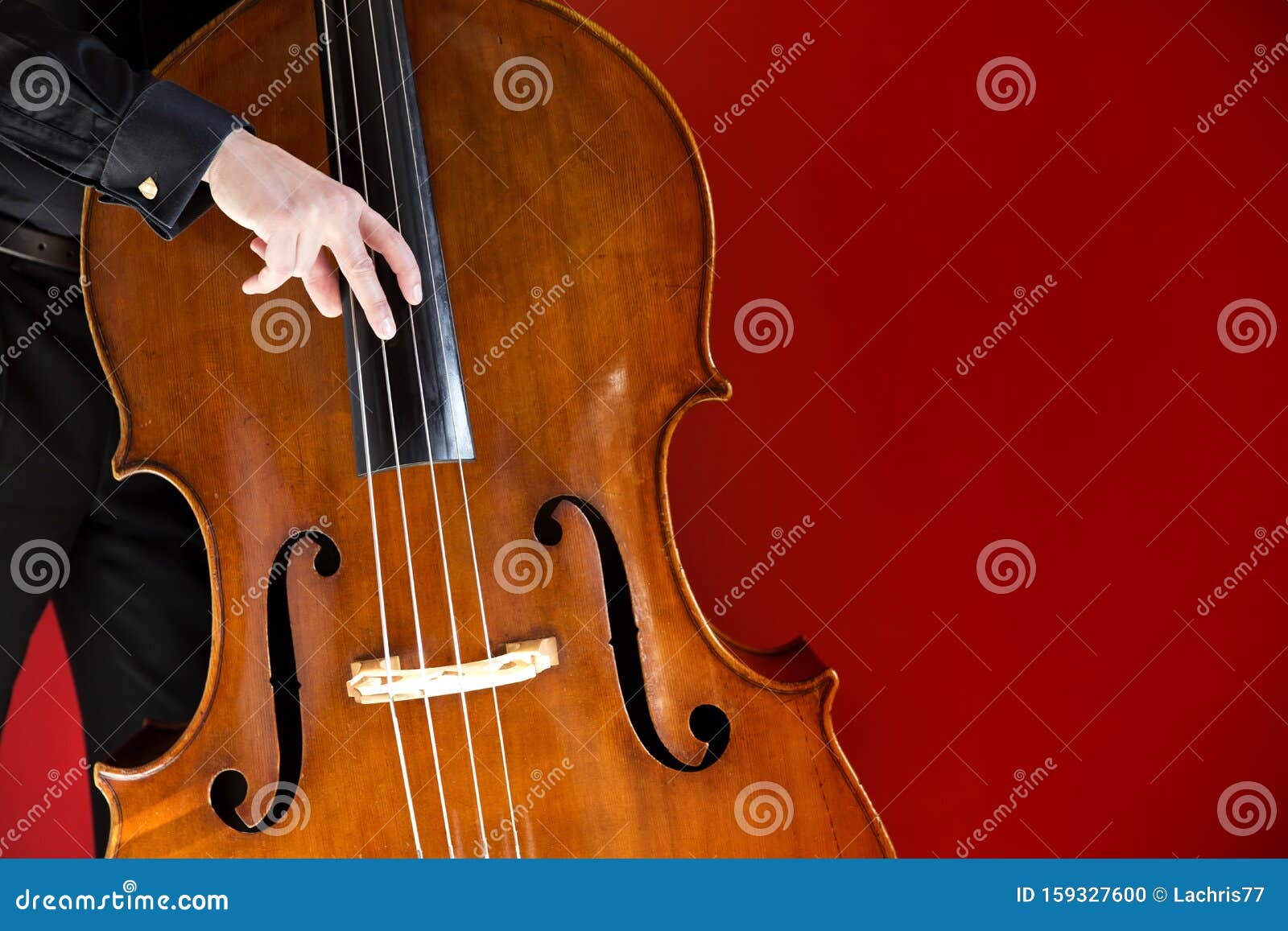 Dubbele bas stock foto. Image of achtergrond, hout, musicus - 159327600