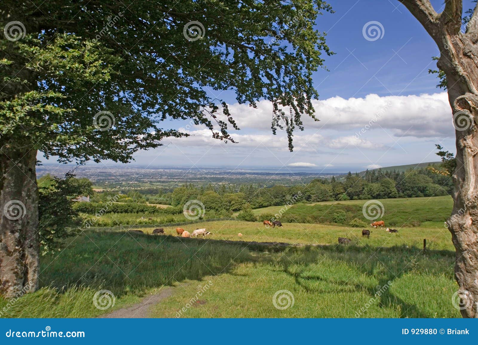 Dublin City Landscape stock photo. Image of dublin, city - 929880