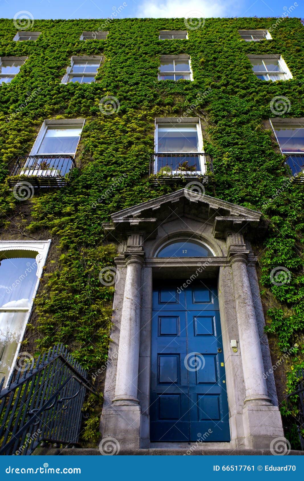 Dublin Ivy Covered House Irish Stock Image - Image of dublin, house ...