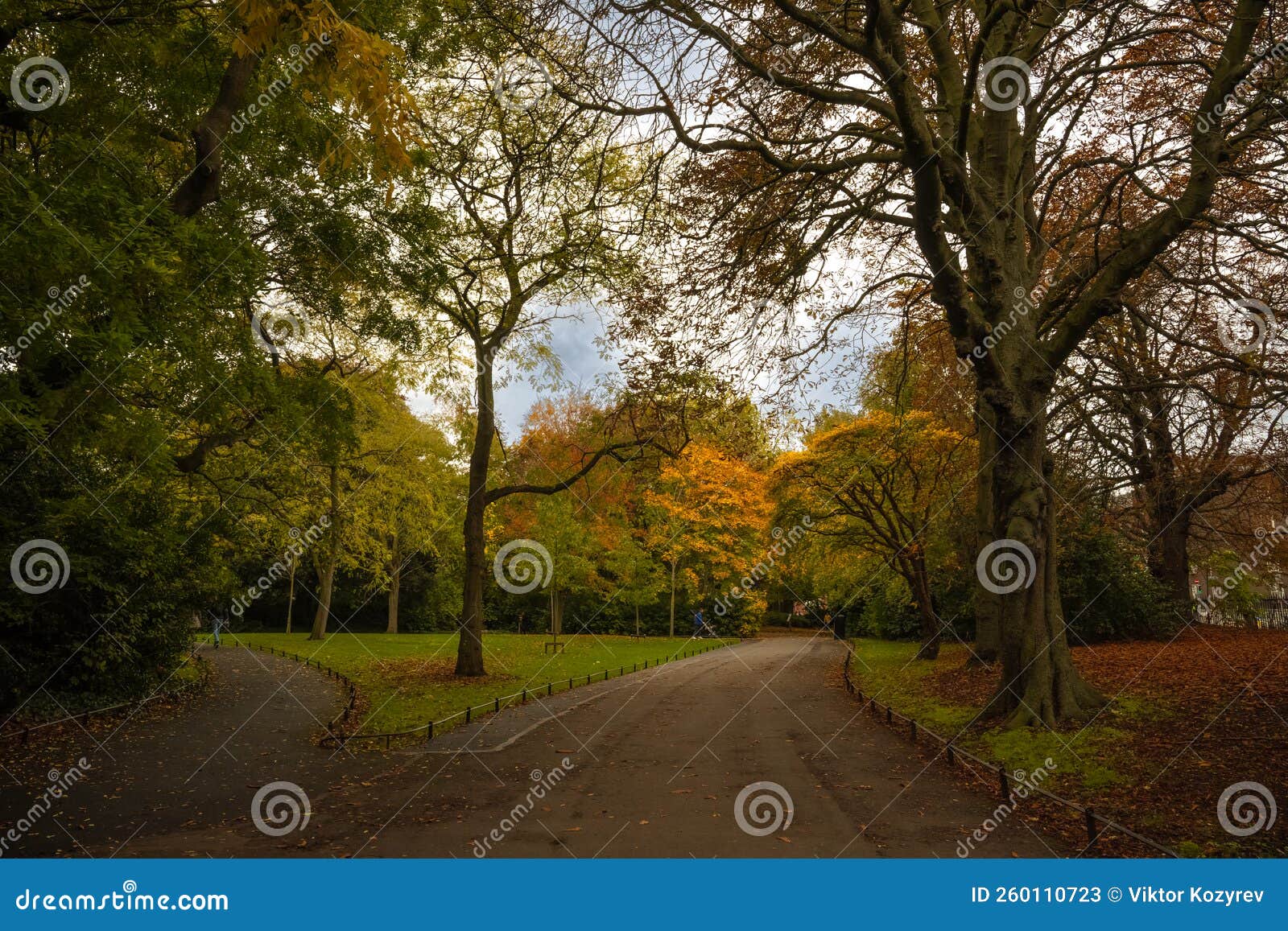Dublin Parks in the Autumn Yellow Leaves Stock Image - Image of leaves ...