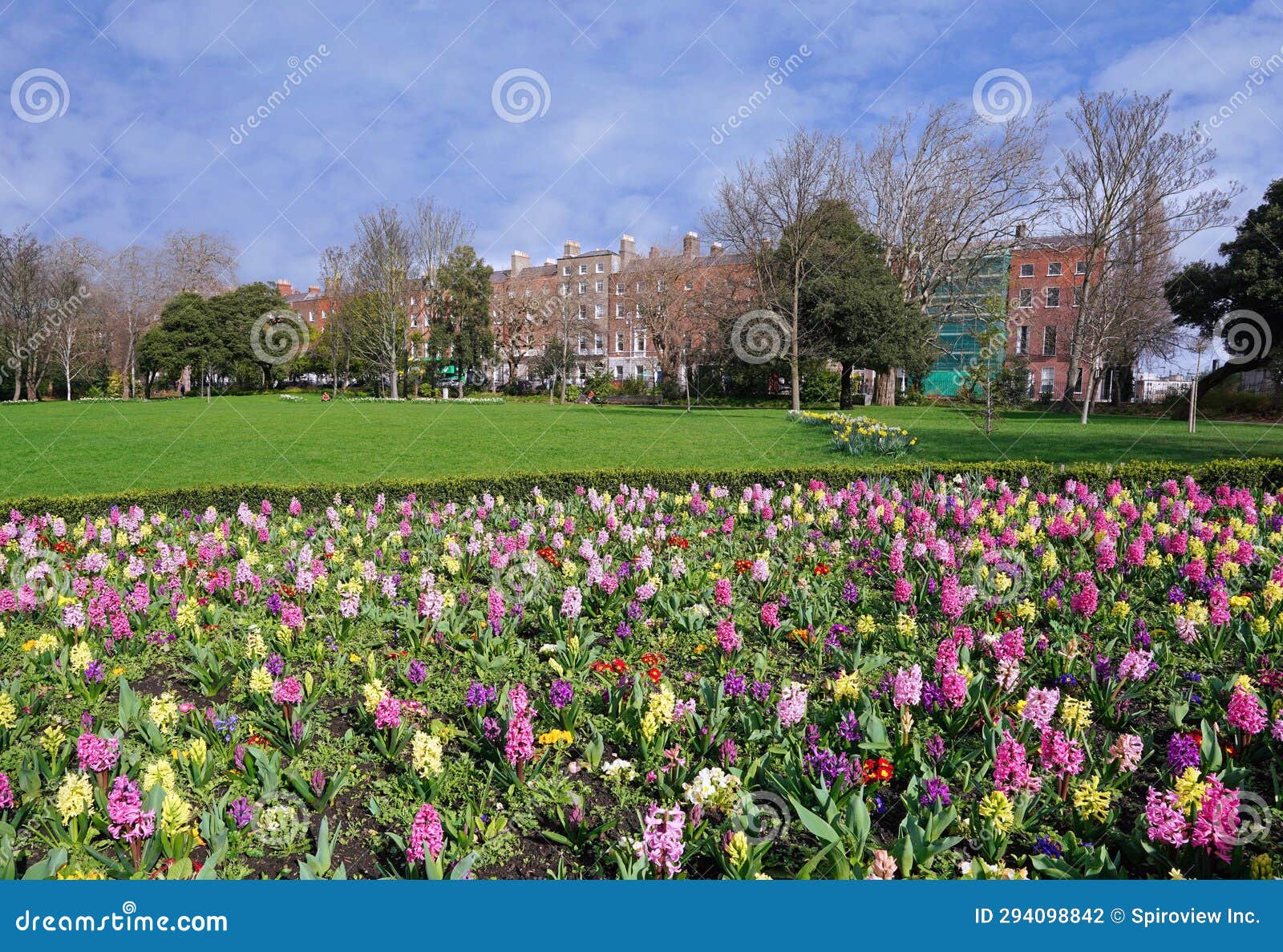 Dublin with spring flowers stock photo. Image of merrion - 294098842