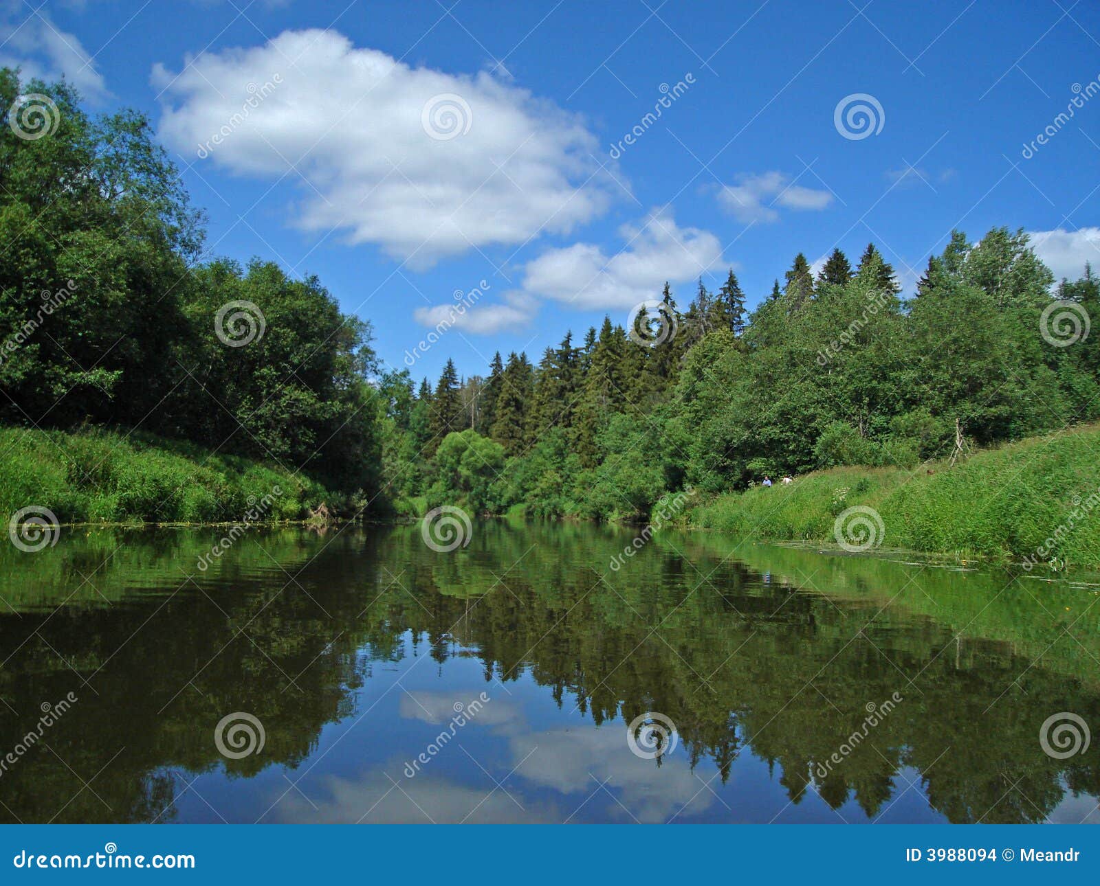 Dubna river stock photo. Image of tranquil, lush, leaf - 3988094