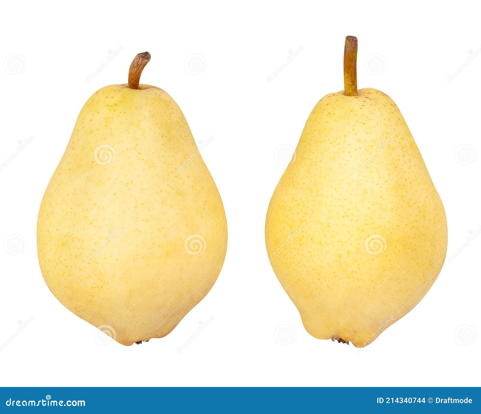 Duchess pear stock photo. Image of studio, nutrition - 214340744