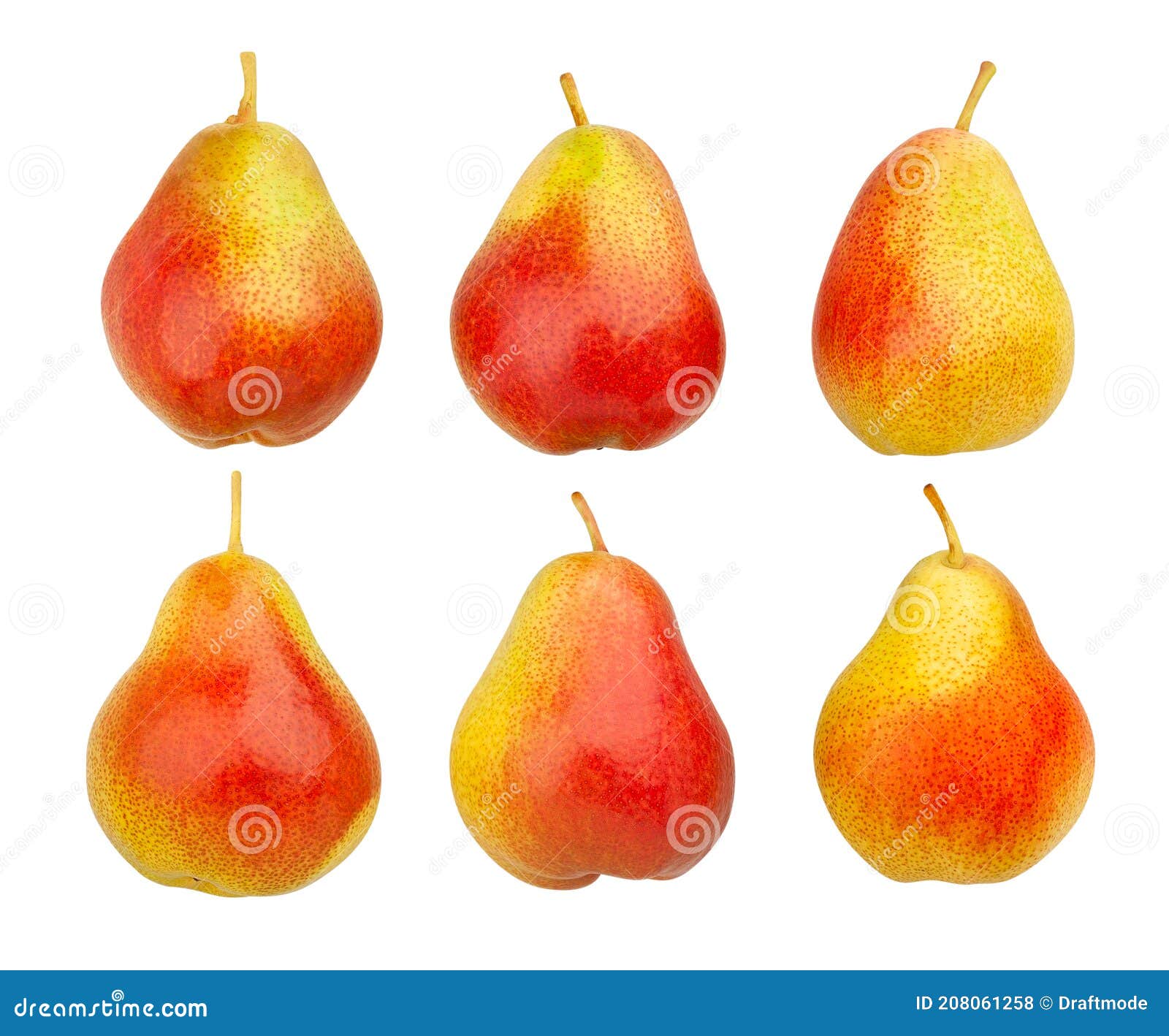 Duchess pear path isolated stock photo. Image of group - 208061258