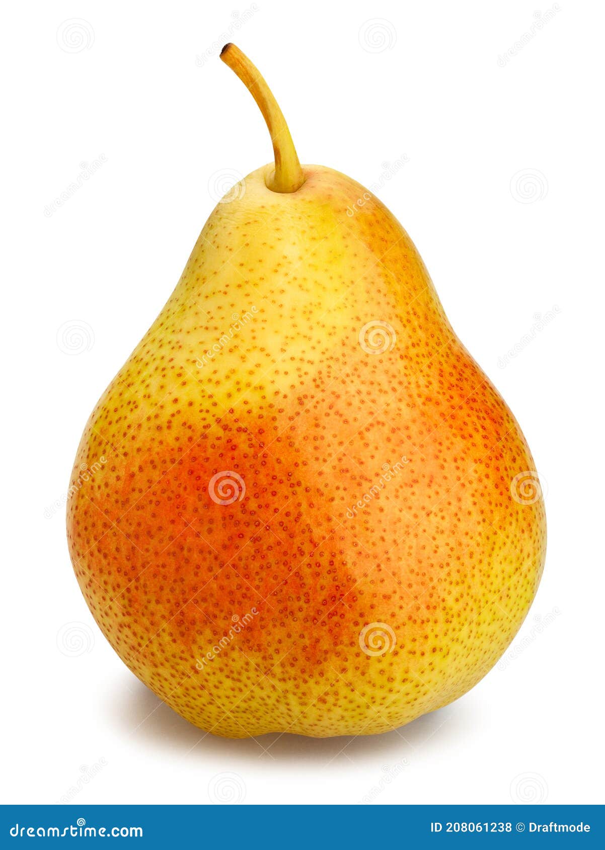 Duchess pear path isolated stock photo. Image of side - 208061238