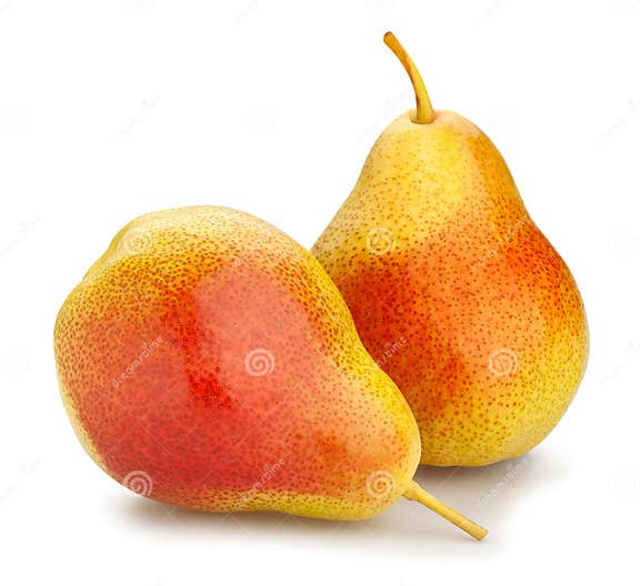 Duchess pear path isolated stock photo. Image of pears - 208061244