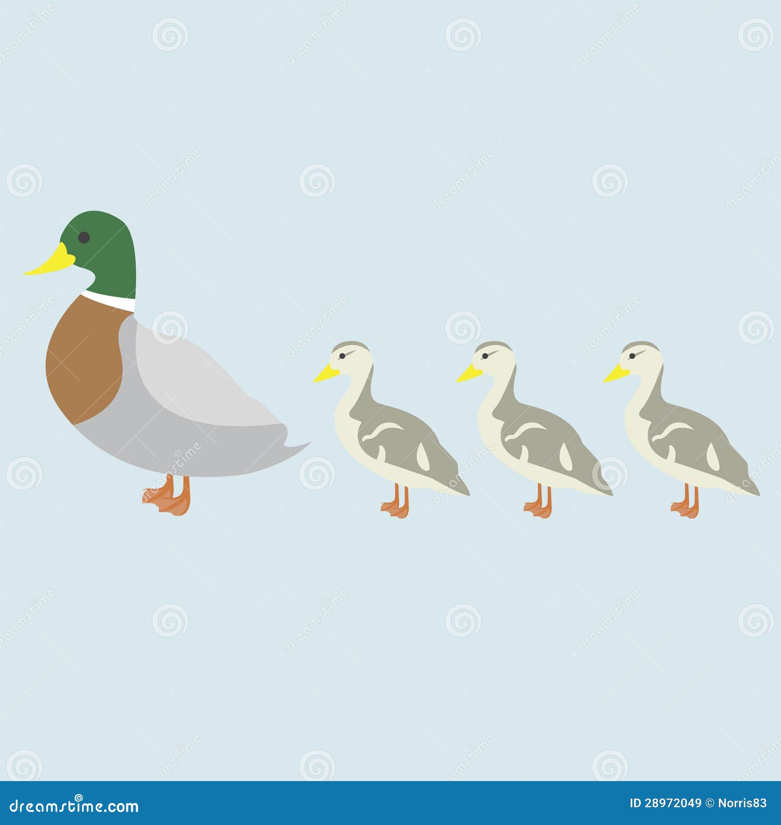 Duck and 3 cute duckling stock vector. Illustration of cute - 28972049