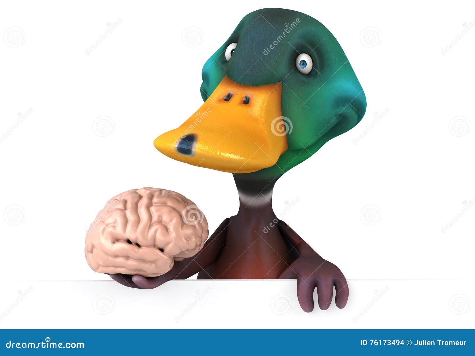 Duck stock illustration. Illustration of mind, brain - 76173494