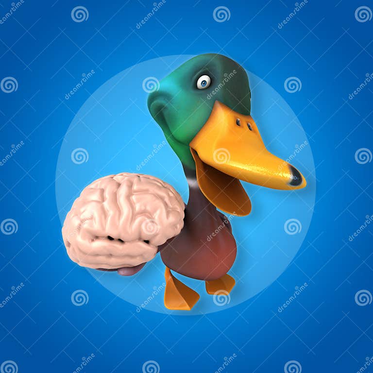 Duck stock illustration. Illustration of wildfowl, psychology - 76173645
