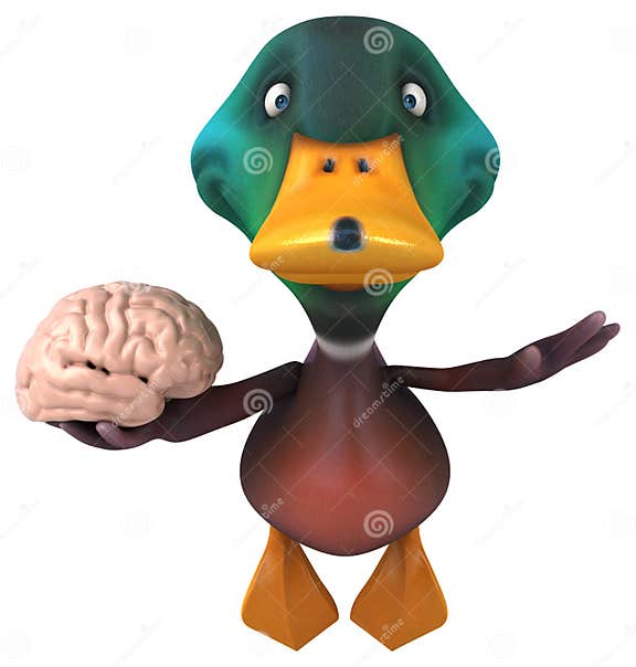 Duck stock illustration. Illustration of drake, psychology - 77589373