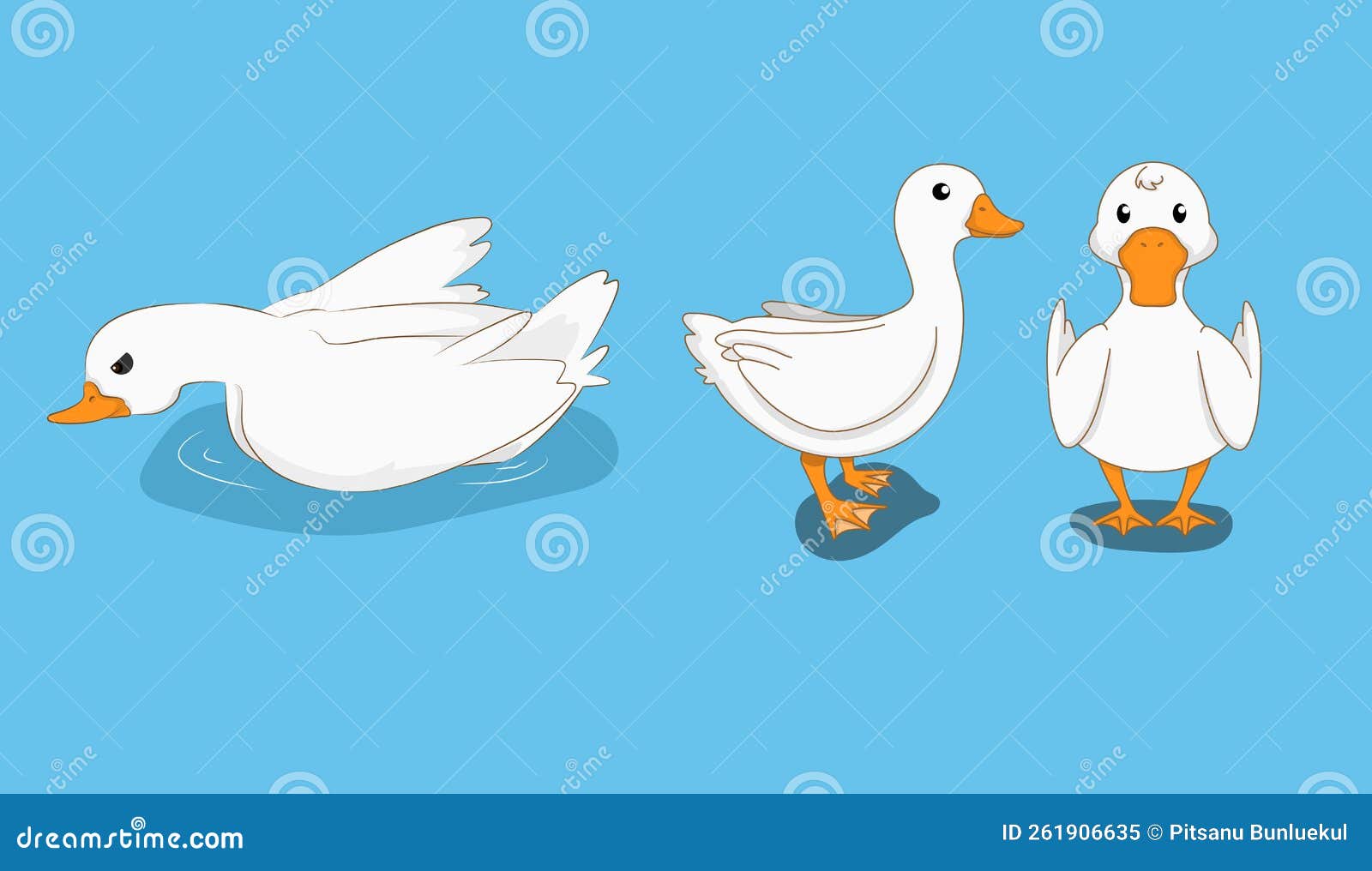 Duck in 3 Action Vector Illustration Stock Vector - Illustration of ...