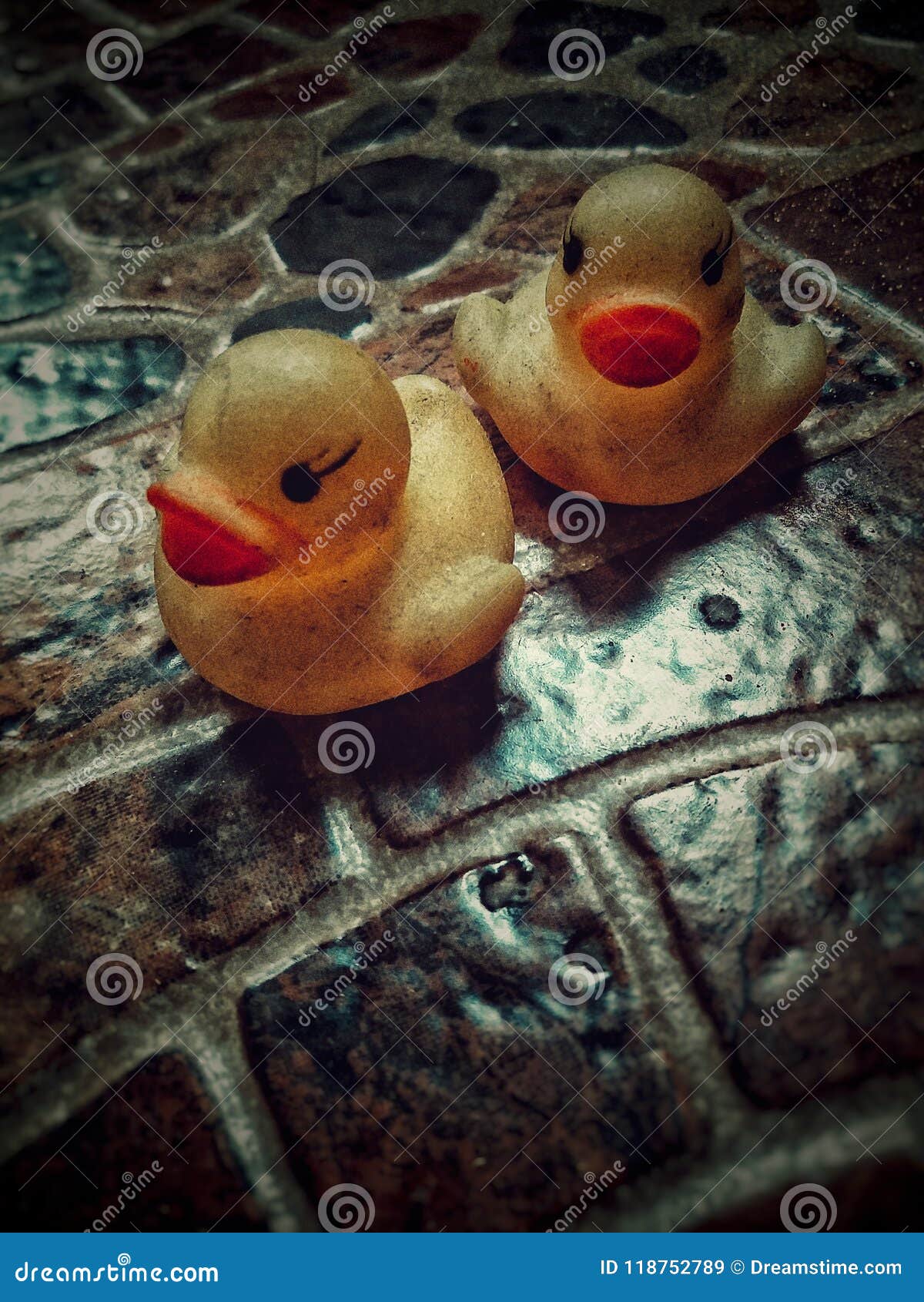 Duck Ball stock image. Image of duck, black, cute, ball - 118752789